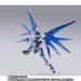 Metal Build: Mobile Suit Gundam Seed - ZGMF-X10A Freedom Gundam - Concept 2, Snow Sparkle Ver ...