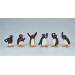 Trading Figure Pingu - Emotion Collection! - Pingu - 6pack box| Nin-Nin ...
