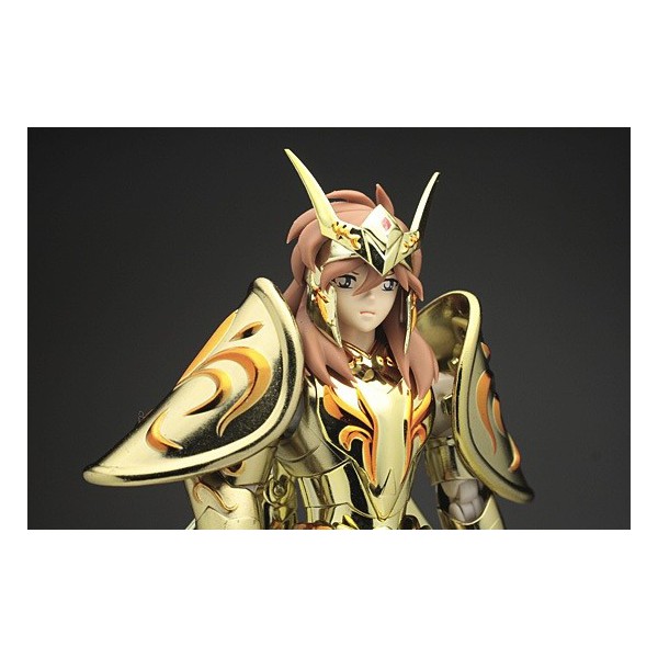 Acheter Saint Seiya Myth Cloth - Andromeda Shun God Cloth OCE ...
