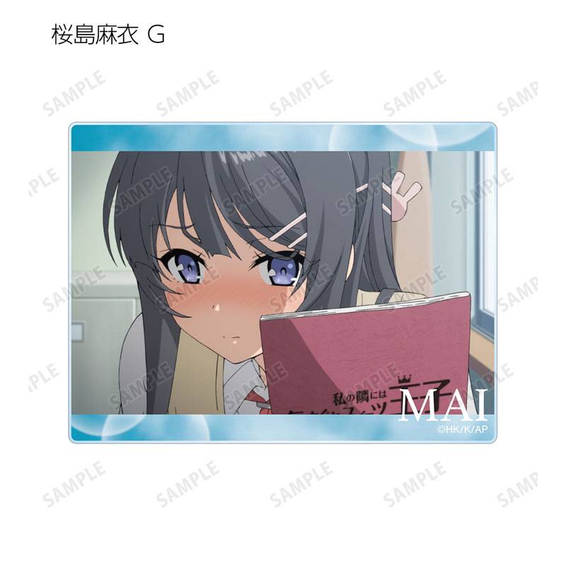 Rascal Does Not Dream of Bunny Girl Senpai: Trading Scene Acrylic Cards ...