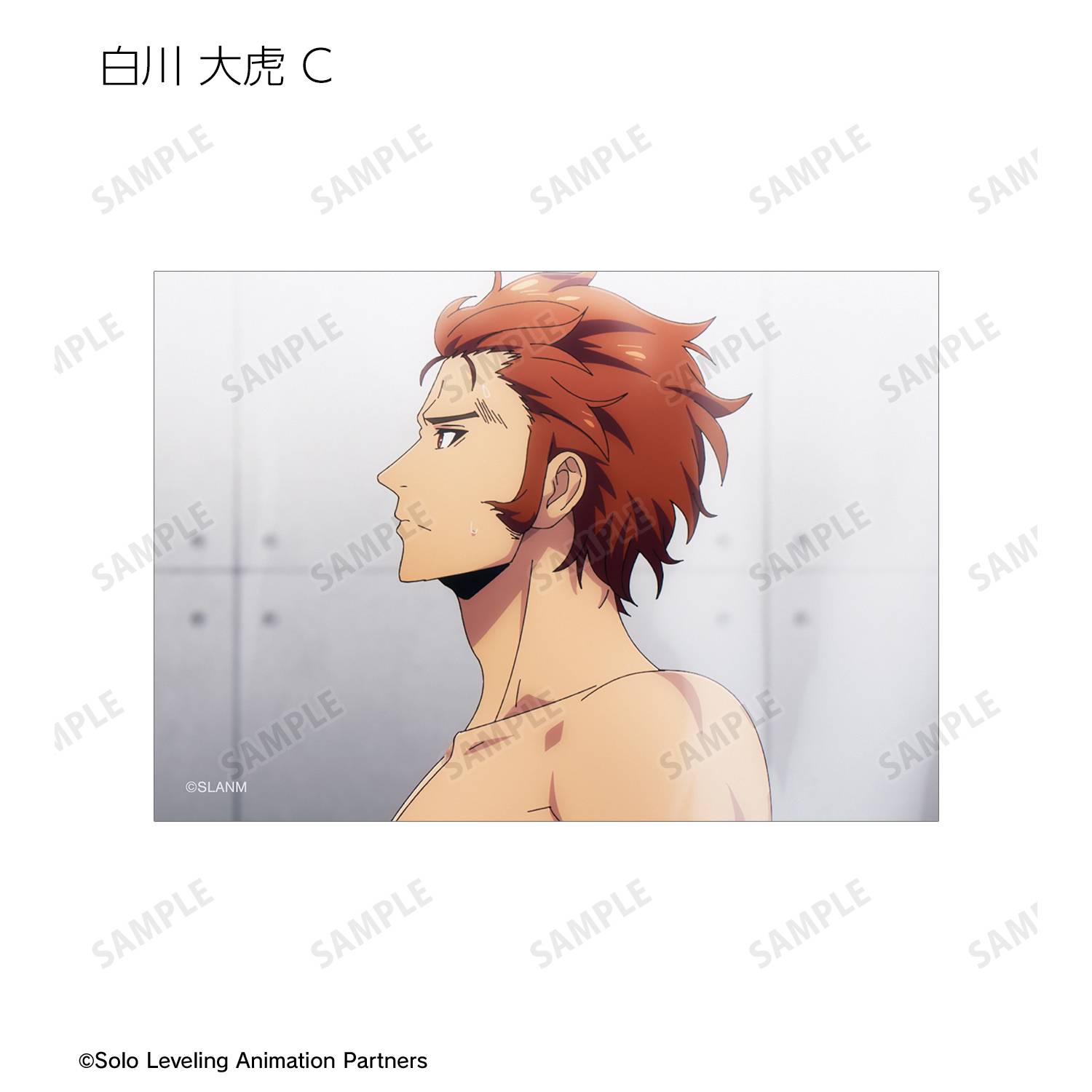 Solo Leveling: Trading Bromide Collection (10 Packs/Box) [Arma Bianca ...