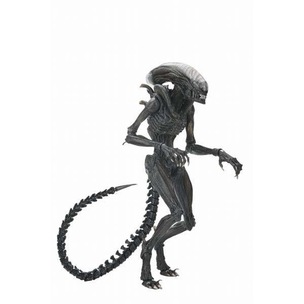 Alien: Romulus - Ultimate Scorched Xenomorph - 7 Inches Action Figure ...