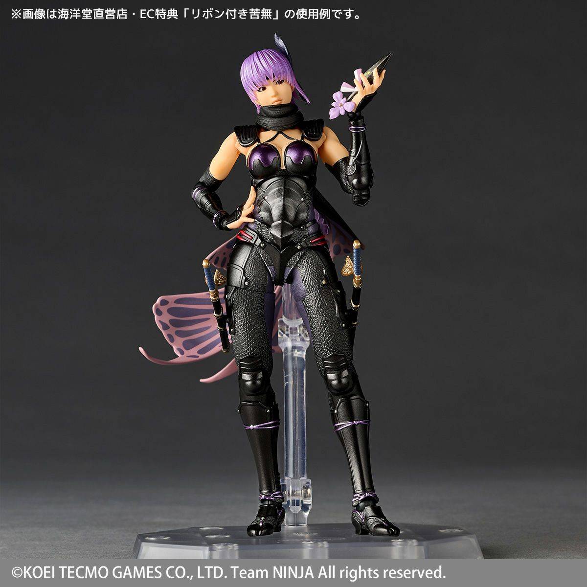 Amazing Yamaguchi/Revoltech: Ninja Gaiden III - Ayane (Limited Edition ...