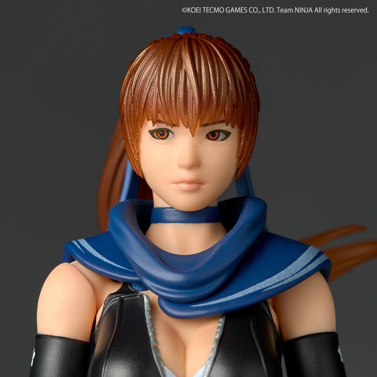 Amazing Yamaguchi / Revoltech: NINJA GAIDEN 3 - Kasumi (Limited + Bonus) [Kaiyodo] - Nin-Nin ...