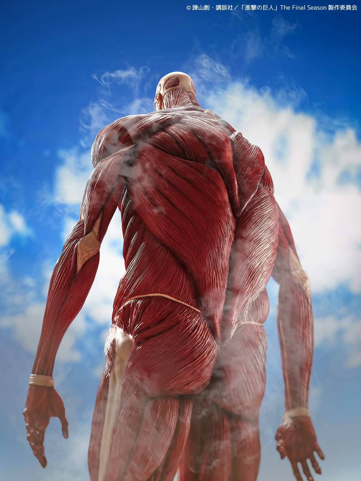 Amazing Yamaguchi / Revoltech: Attack on Titan - Colossal Titan (Mega ...