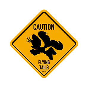 Sonic the Hedgehog: Caution Signs Sticker - Caution (Flying Tails ...