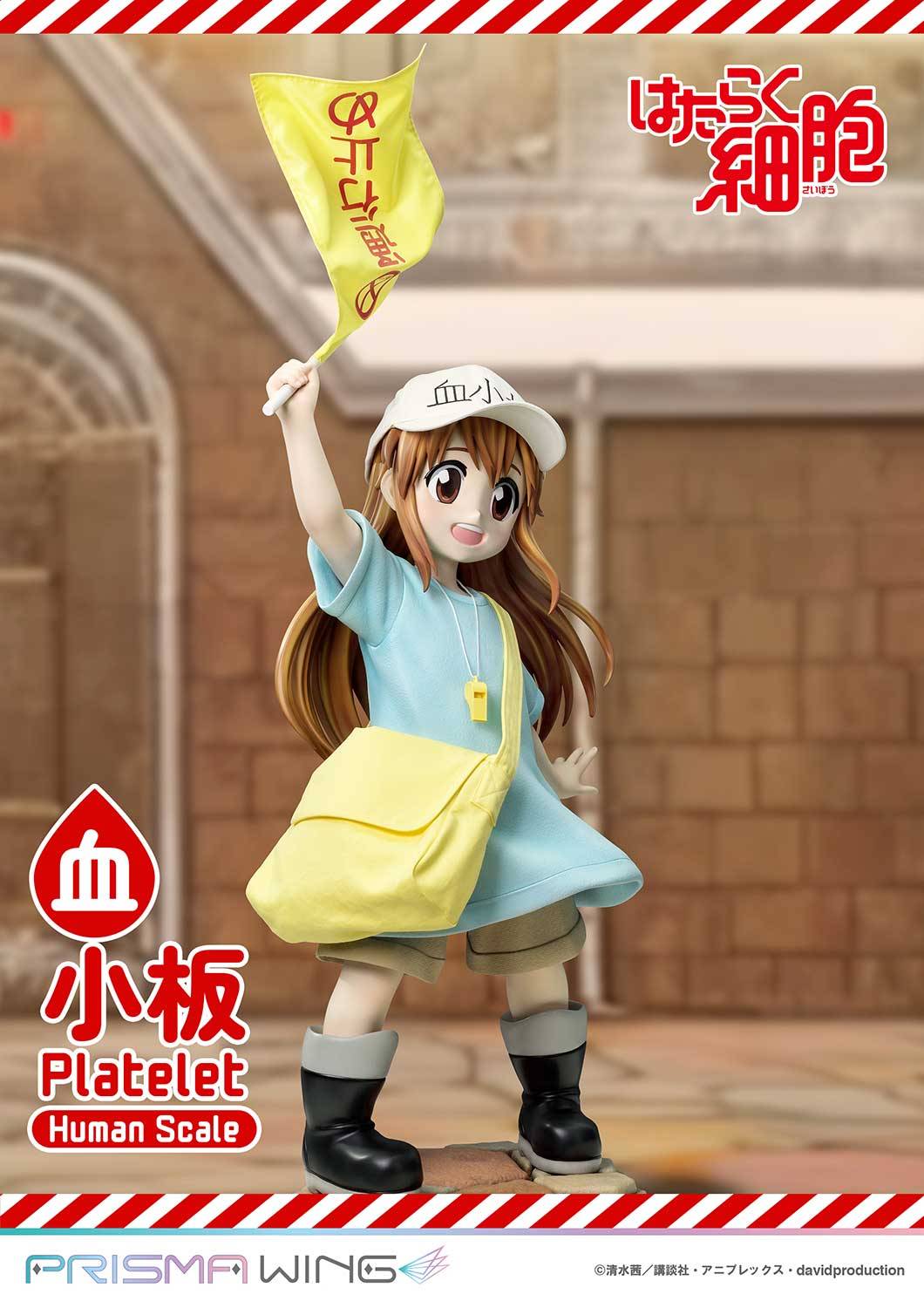 Human Scale Masterline: Cells at Work - Platelet [Prime 1 Studio] - Nin ...