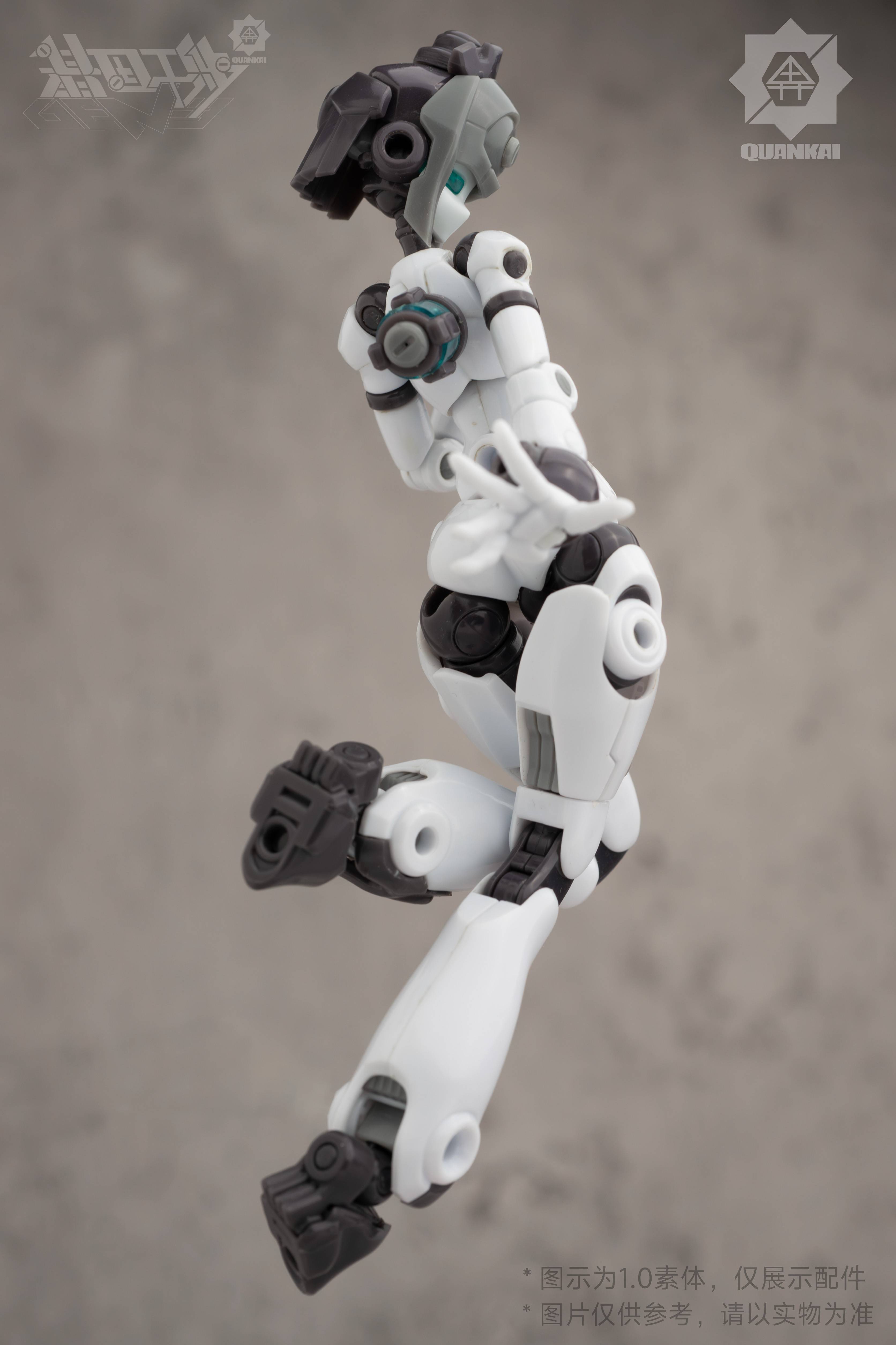 Gene Interference Series: QK-ST-002 1/12 (Plastic Model) [QUANKAI ...